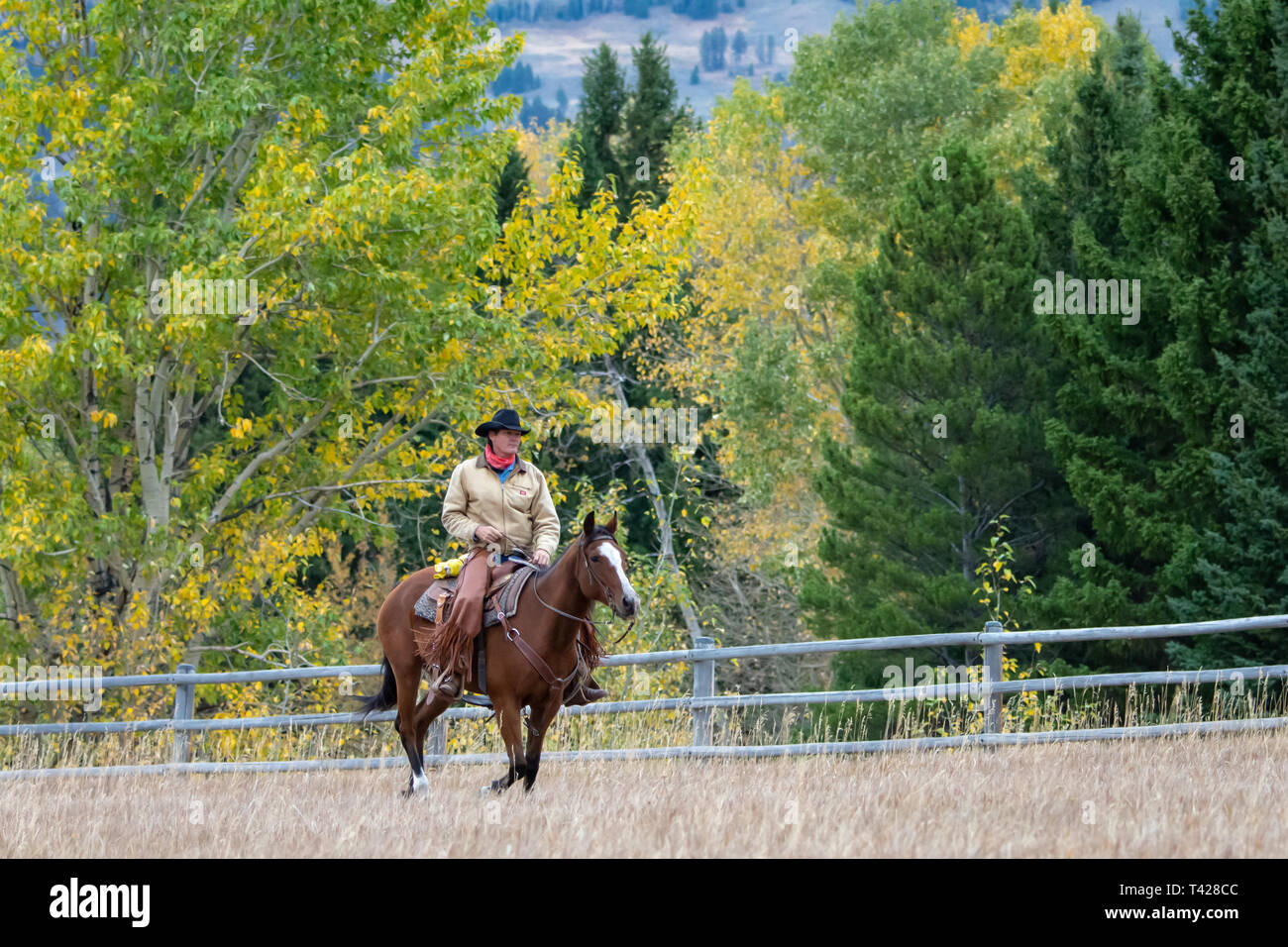 Rugged cowboy hi-res stock photography and images - Alamy