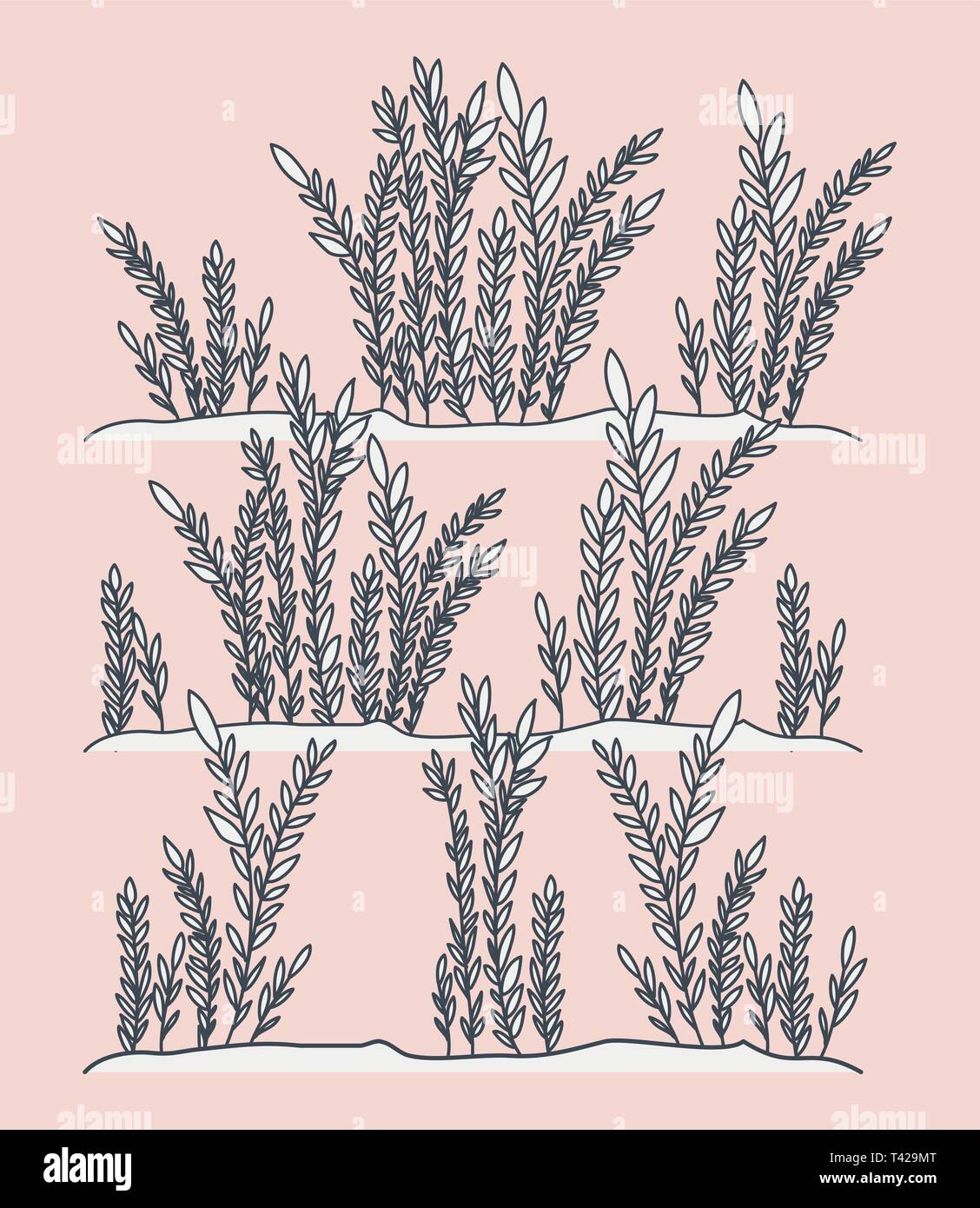 algae marine plants scene Stock Vector Image & Art - Alamy