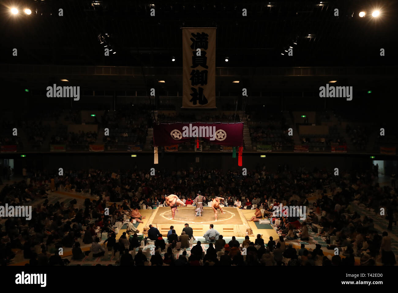 Kanagawa, Japan. 12th Apr, 2019. General view Sumo : Kawasaki Sumo ...