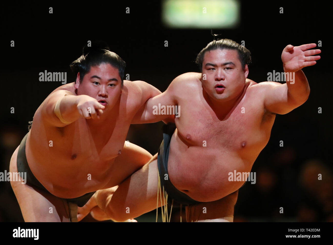 Kanagawa, Japan. 12th Apr, 2019. Shokkiri Sumo : Kawasaki Sumo ...