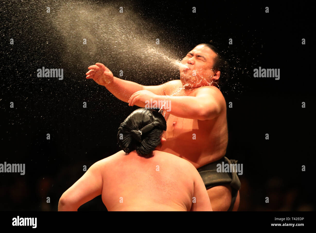 Kanagawa, Japan. 12th Apr, 2019. /Shokkiri Sumo : Kawasaki Sumo ...