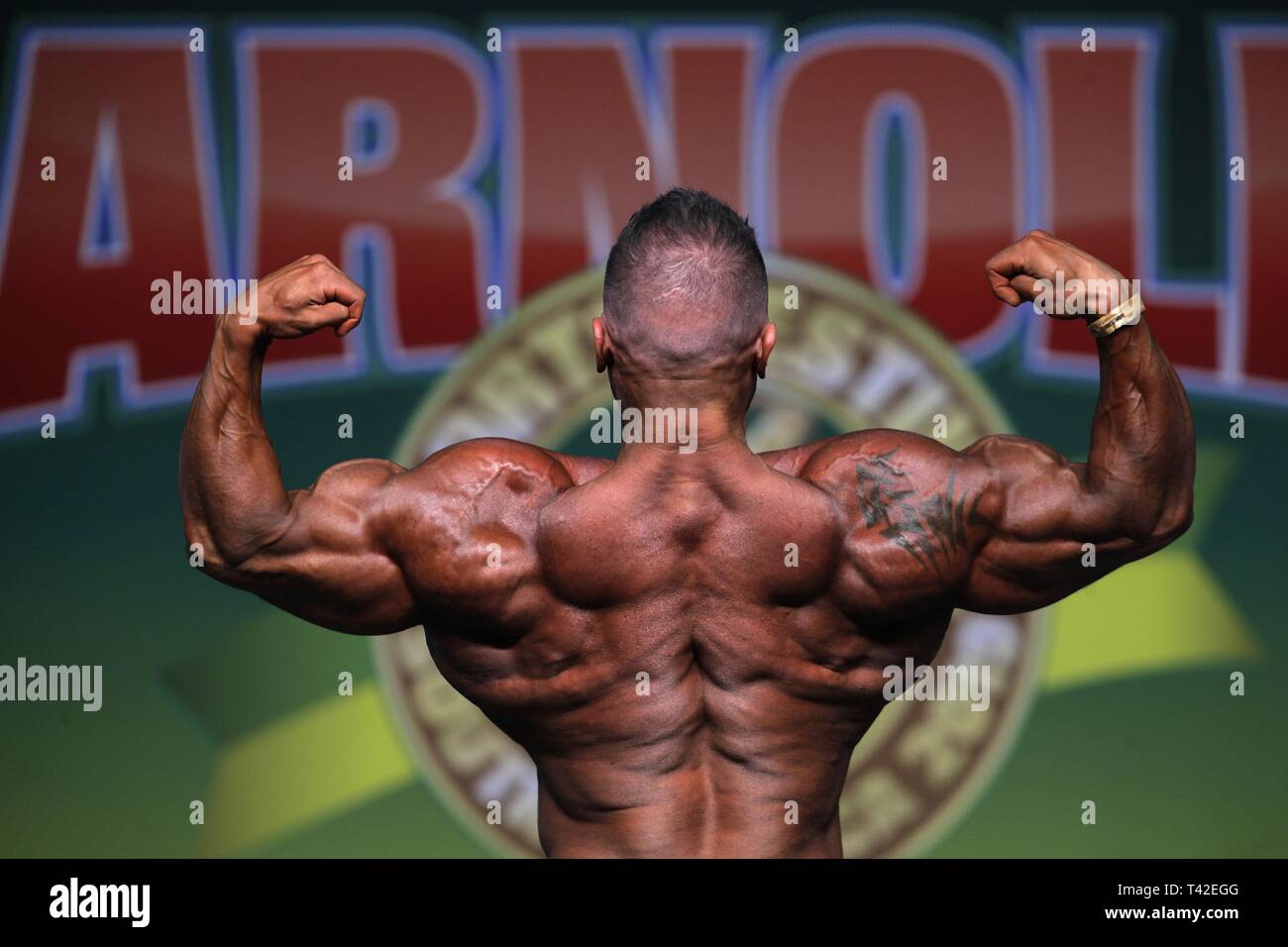 Sao Paulo, Brazil. 12th Apr, 2019. Bodybuilder participates in the ...