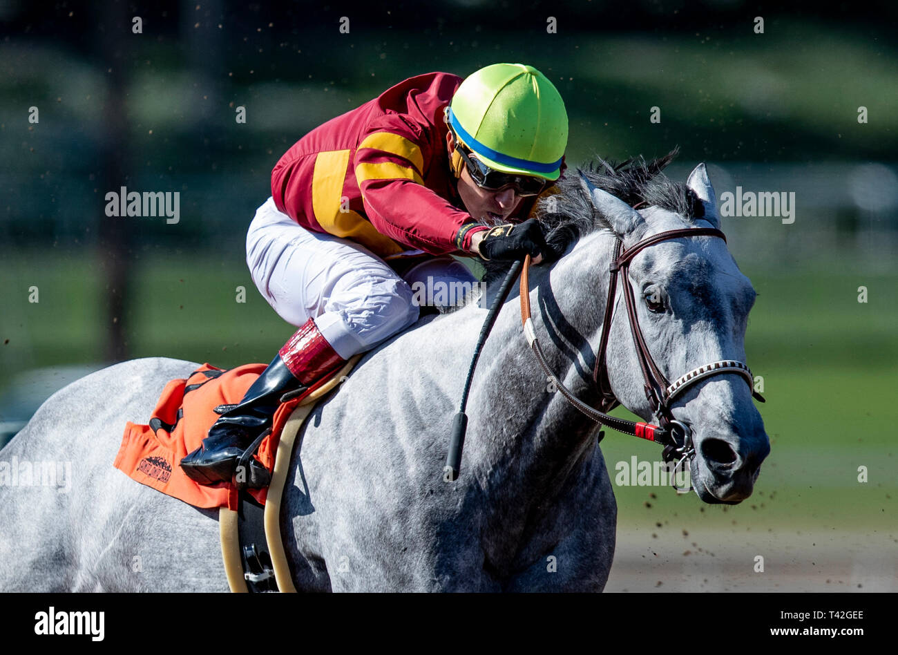 Jockey Riding Crop High Resolution Stock Photography and Images - Alamy