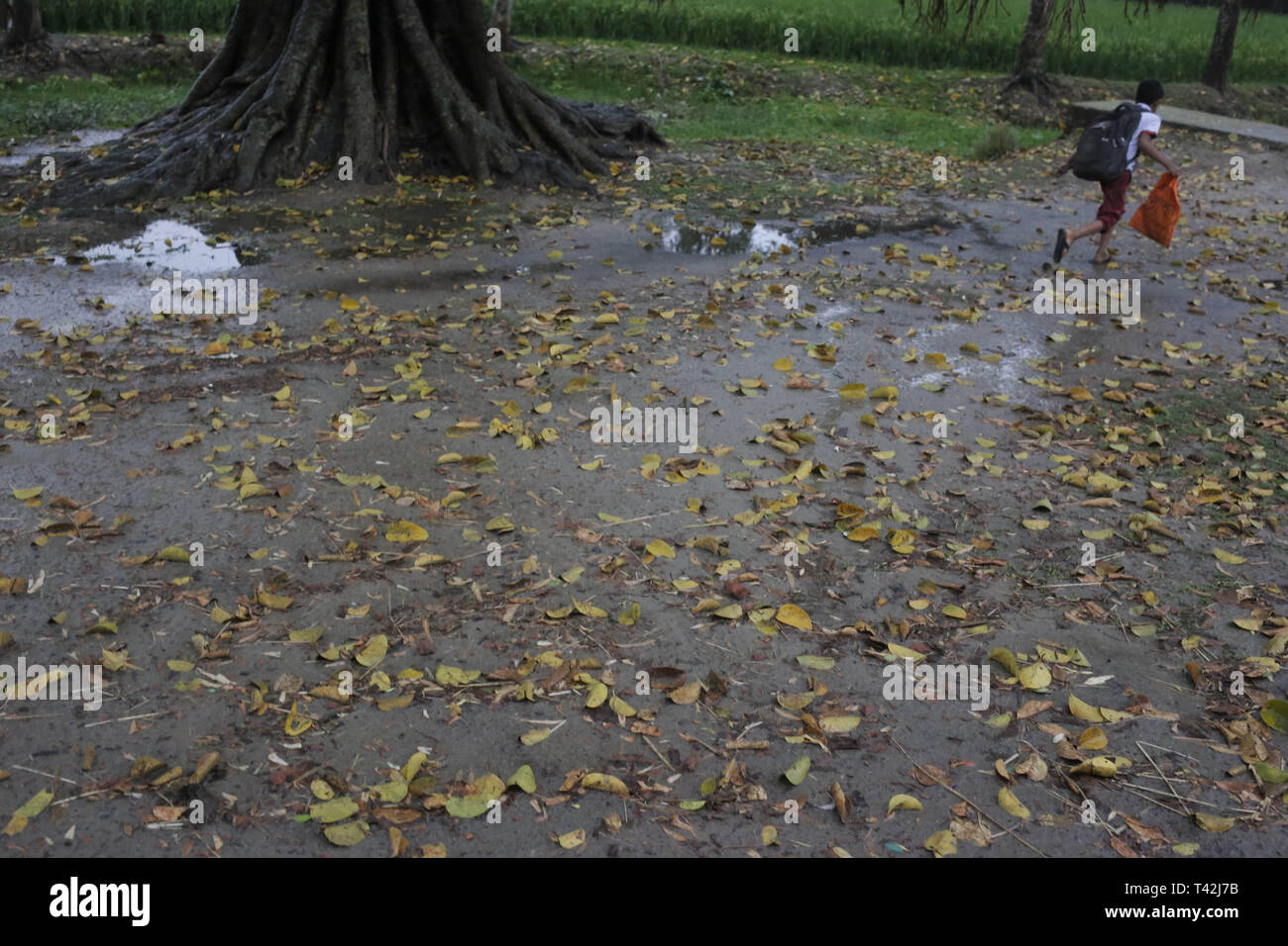 Sudden rain hi-res stock photography and images - Alamy