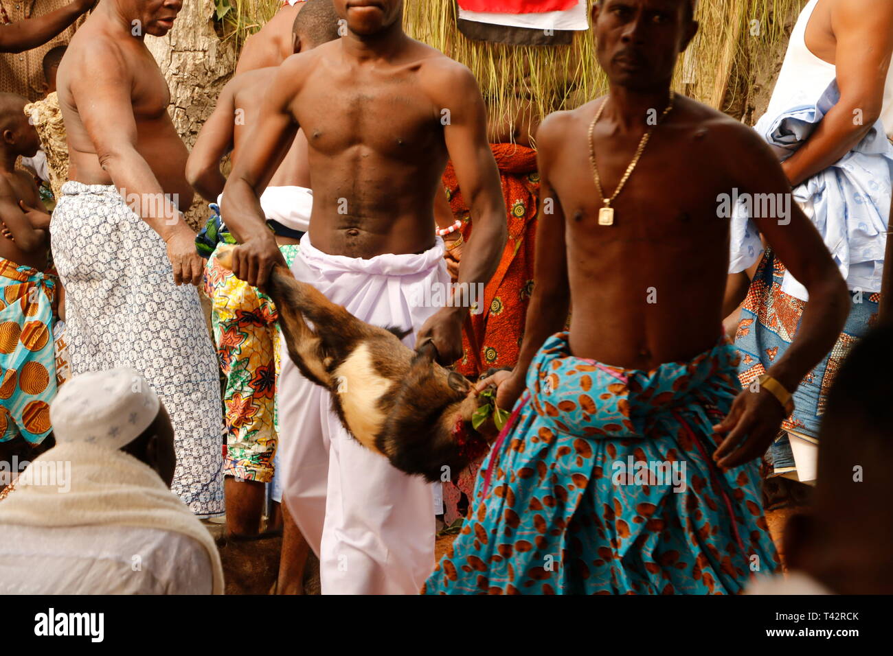 Ouidah, Benin, Voodoo festival in the center of Ouidah on 10 january ...