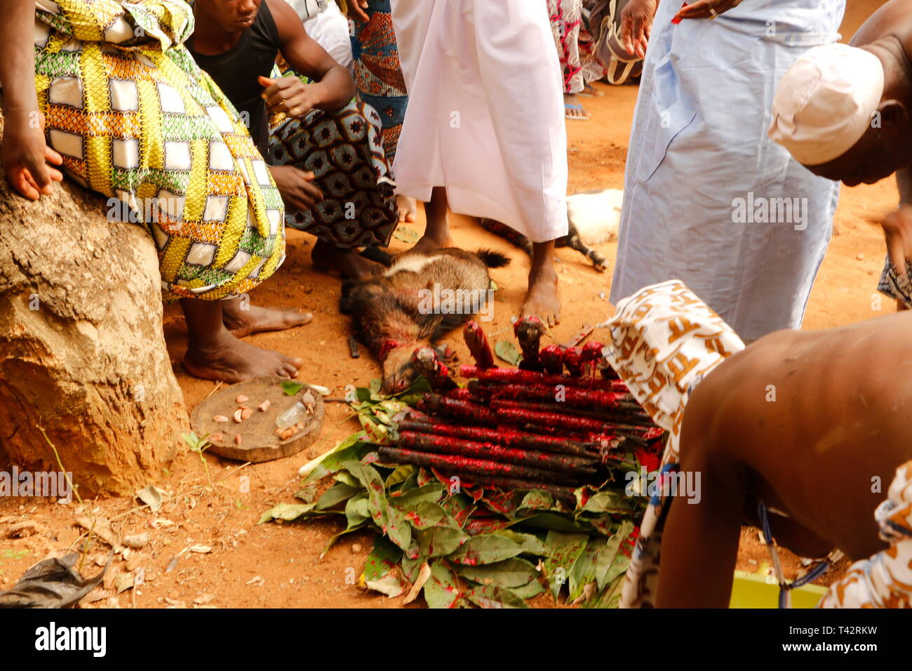 Ouidah, Benin, Voodoo festival in the center of Ouidah on 10 january ...
