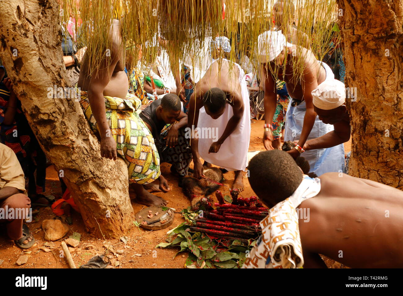 Ouidah, Benin, Voodoo festival in the center of Ouidah on 10 january ...