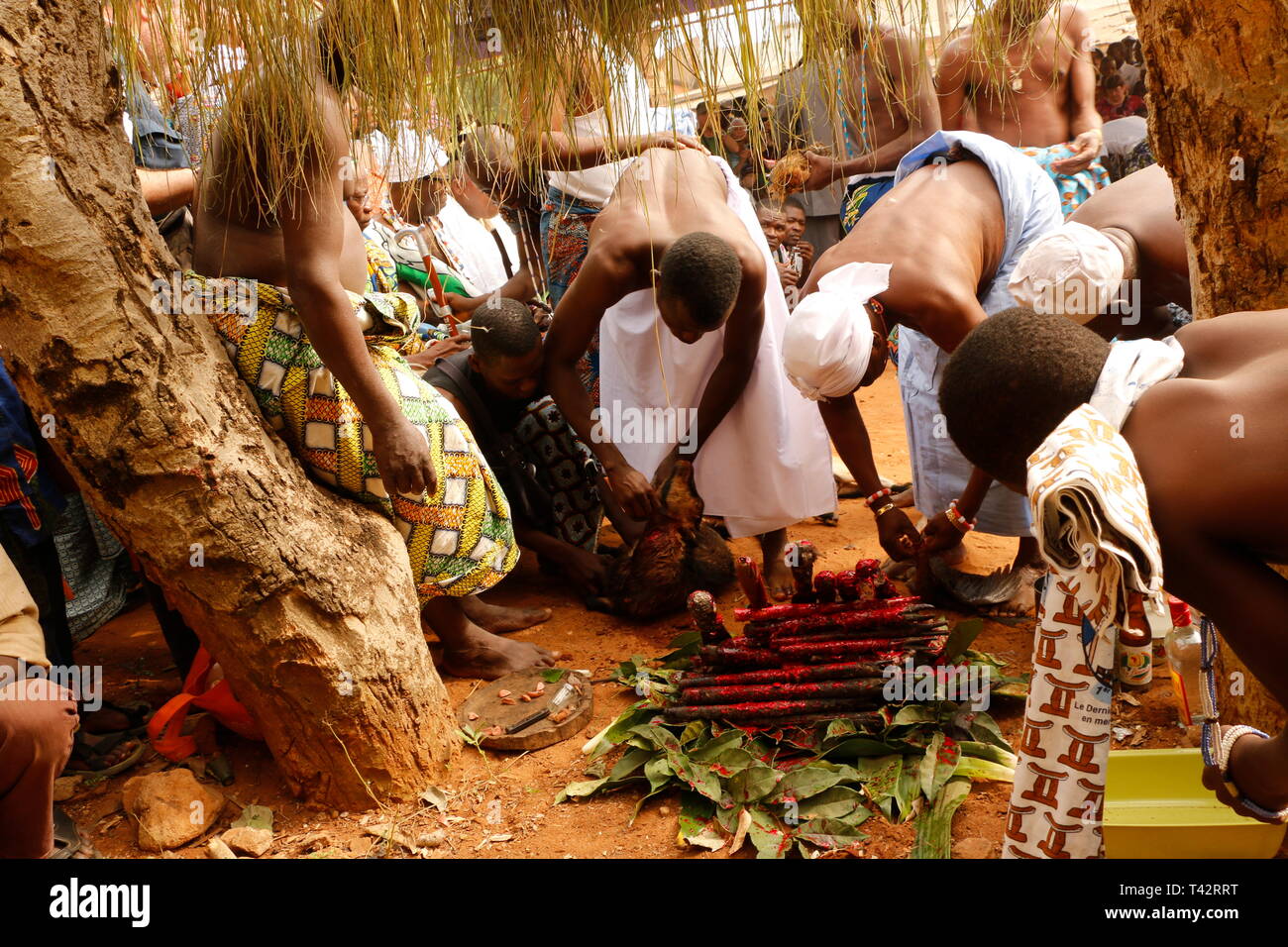 Ouidah, Benin, Voodoo festival in the center of Ouidah on 10 january ...