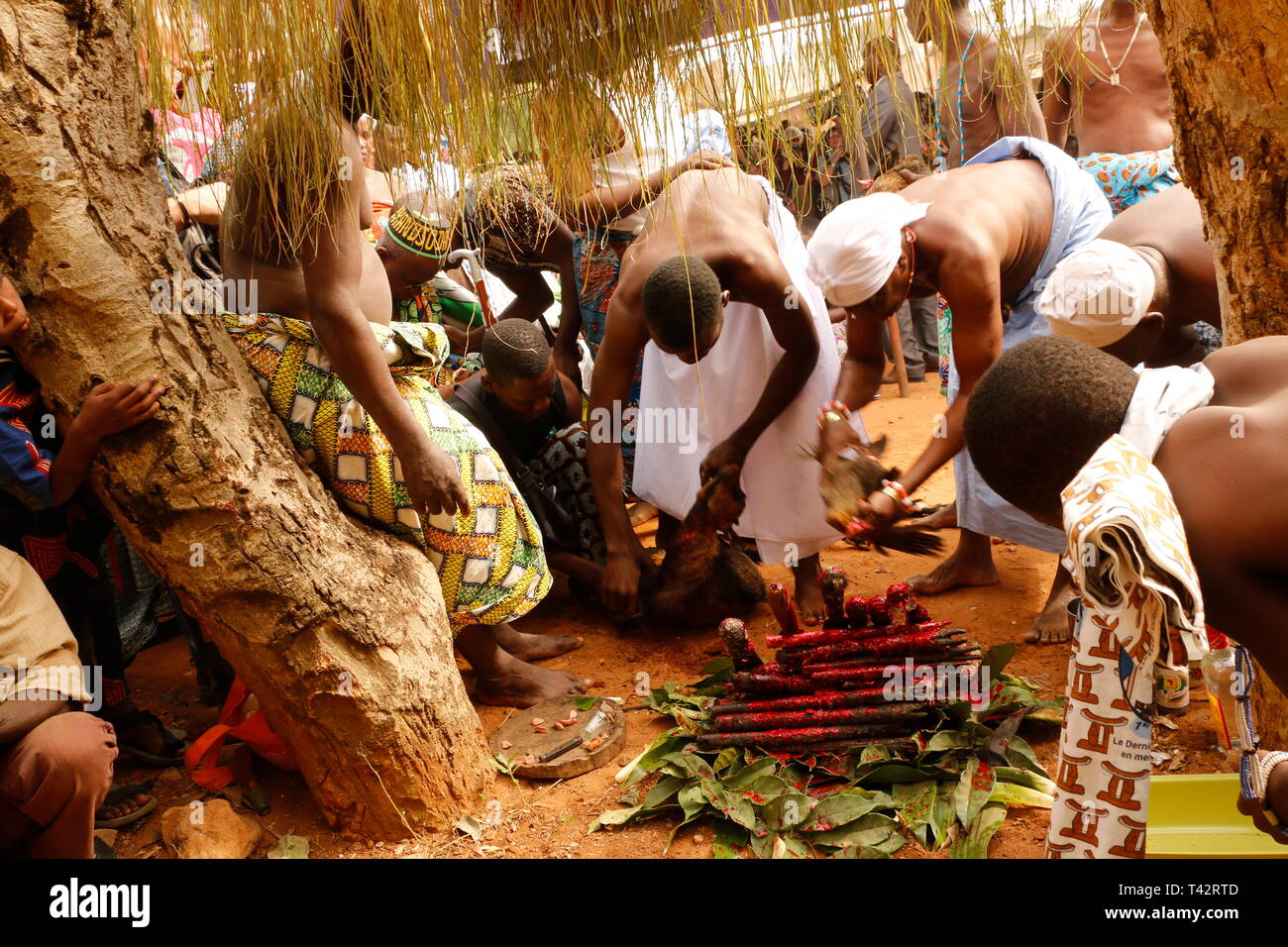 Ouidah, Benin, Voodoo festival in the center of Ouidah on 10 january ...