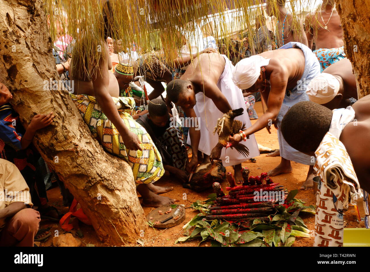 Ouidah, Benin, Voodoo festival in the center of Ouidah on 10 january ...