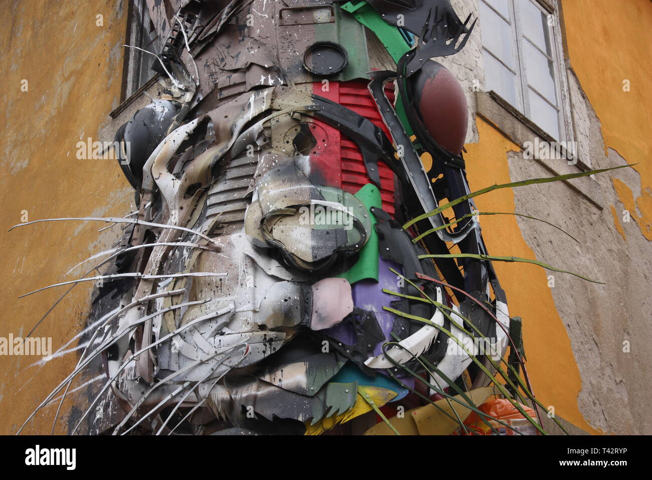 Bank river rabbit hi-res stock photography and images - Alamy