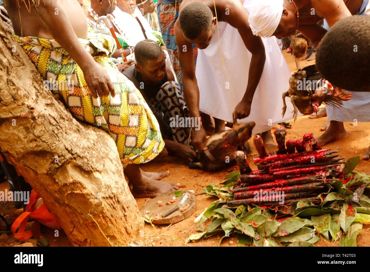 Ouidah, Benin, Voodoo festival in the center of Ouidah on 10 january ...