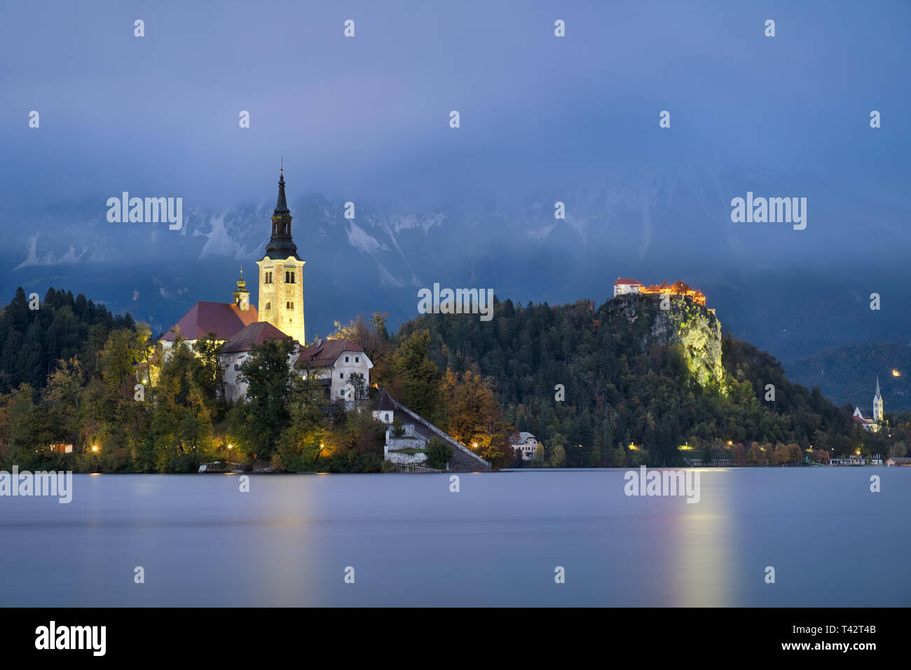 Photo of the Bled Island and church at the blue hour time Stock Photo ...