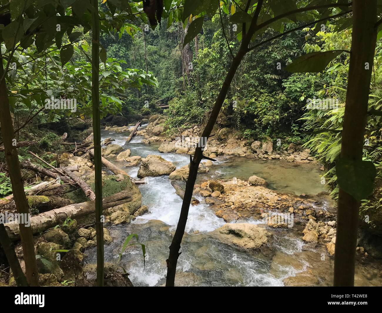 Bihewa Waterfall, a tourist destination in Legari Village at Nabire ...