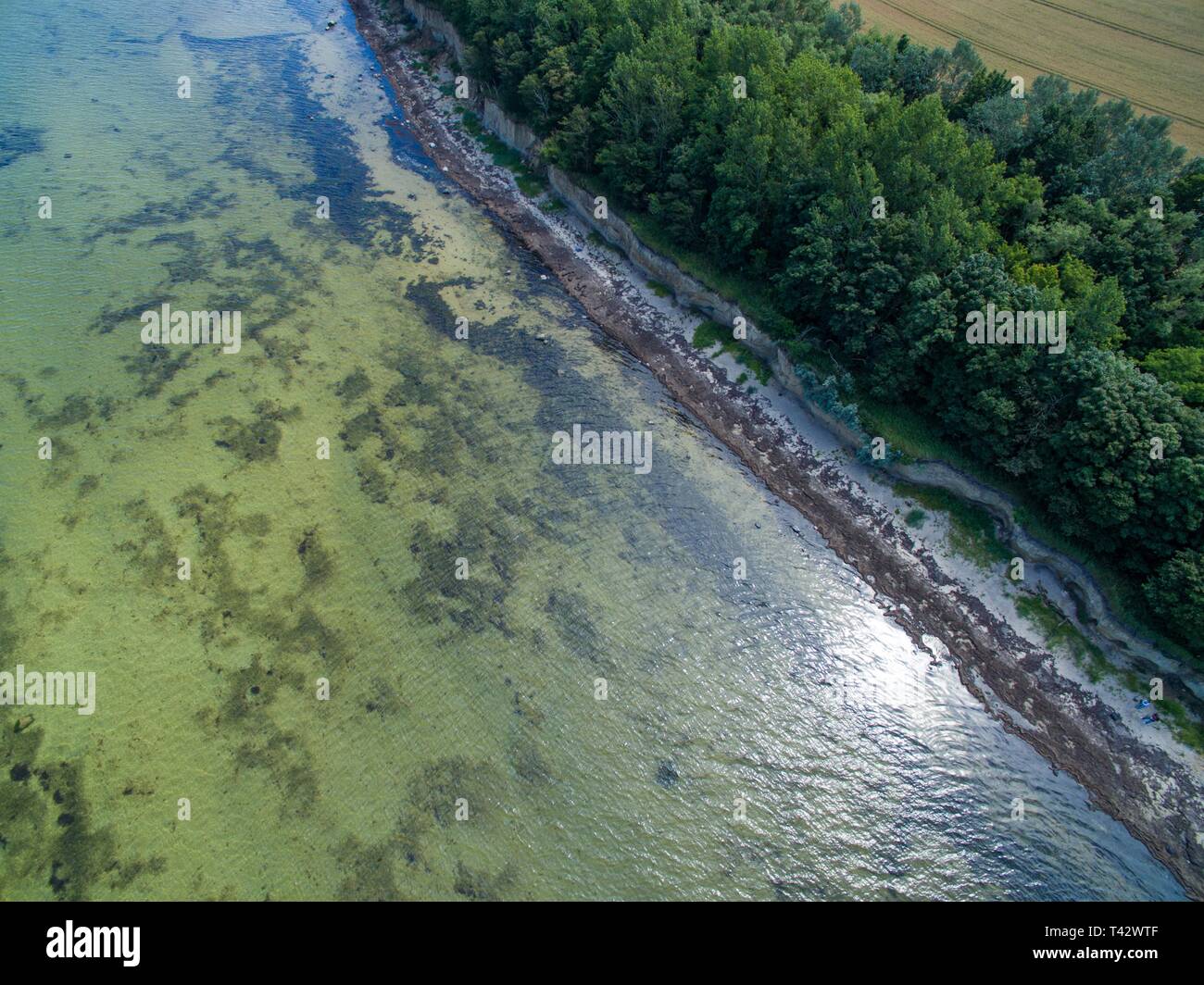 Aerial view of the beautiful beach coastline with cliffs at Poel island ...