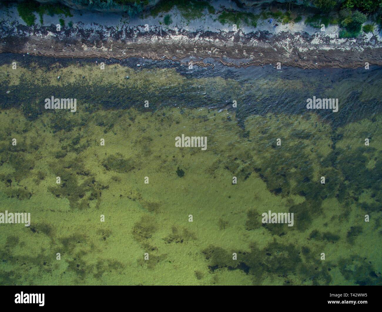 Aerial view of the beautiful beach coastline with cliffs at Poel island ...