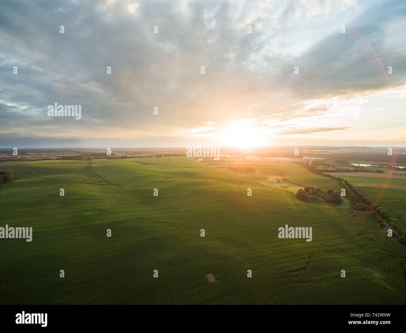 aerial view of a beautiful sunset over green corn fields - agricultural ...