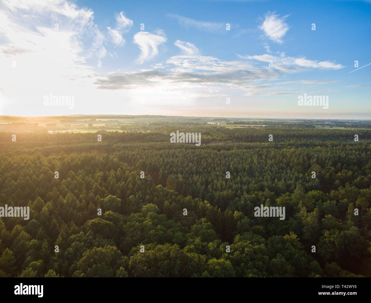 Aerial view of a beautiful sunset over forest landscape with green ...