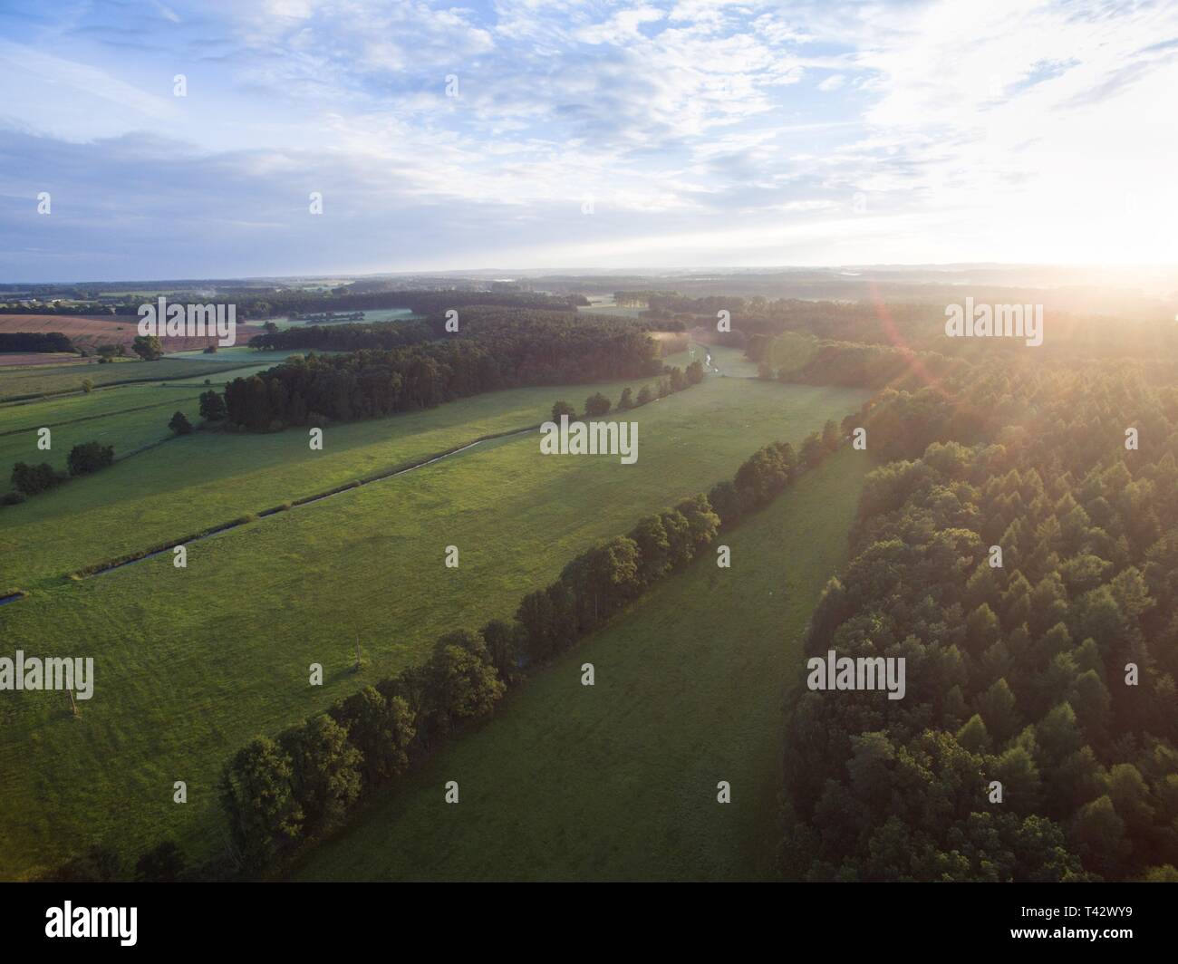Top view over meadow forest hi-res stock photography and images - Alamy