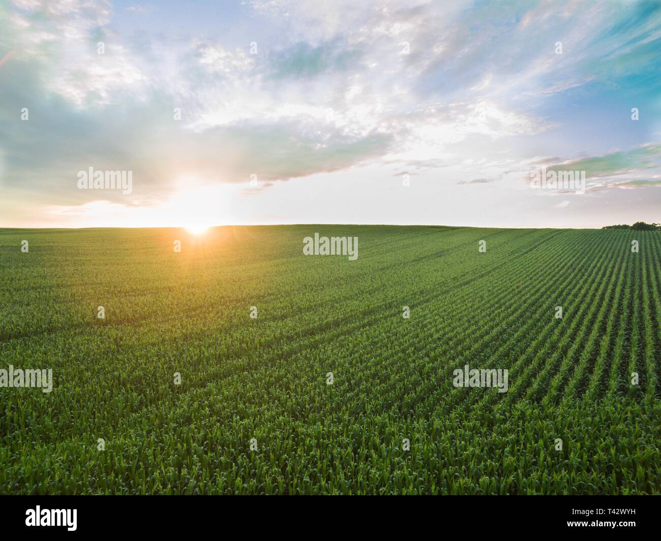 Aerial view sunset over field hi-res stock photography and images - Alamy