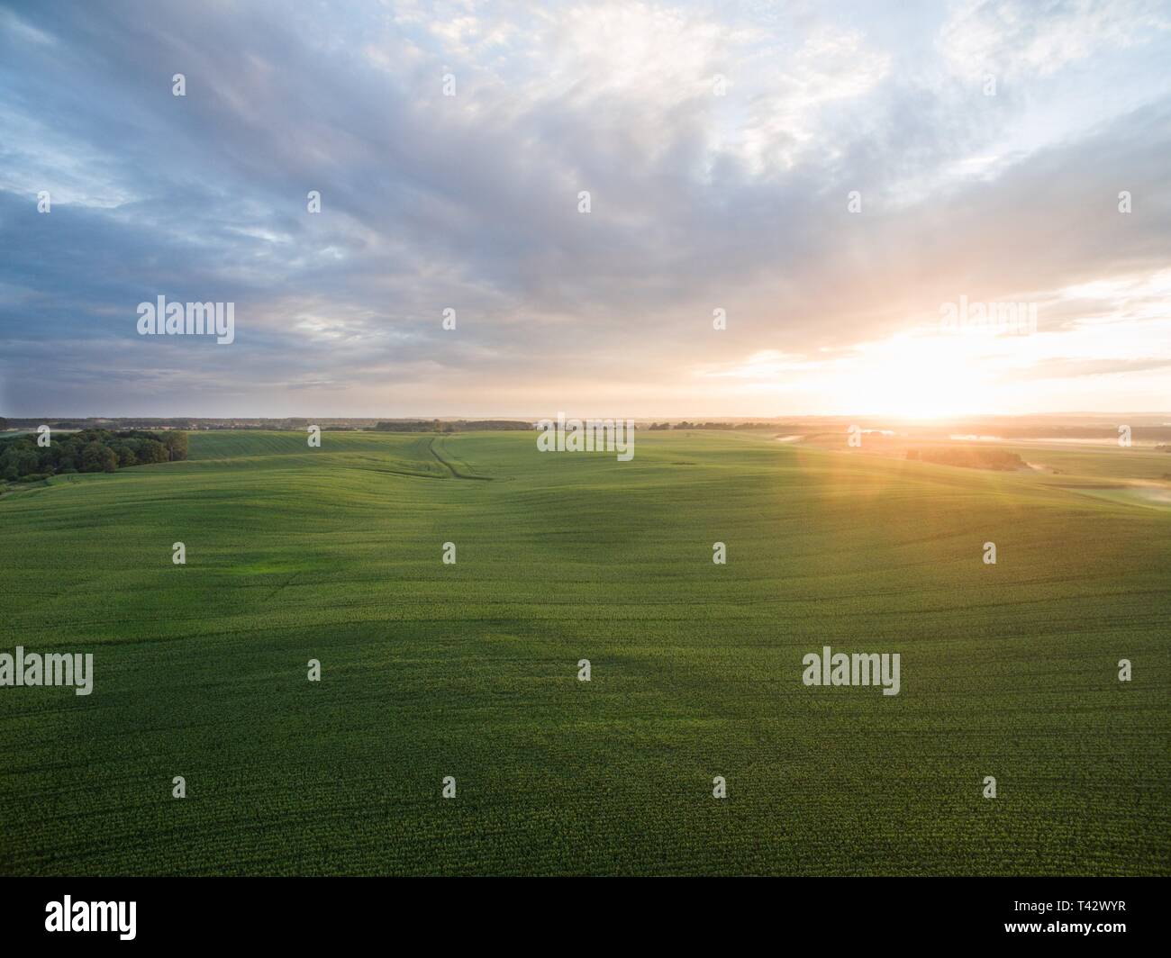 Corn fields and farm at sunset hi-res stock photography and images - Alamy
