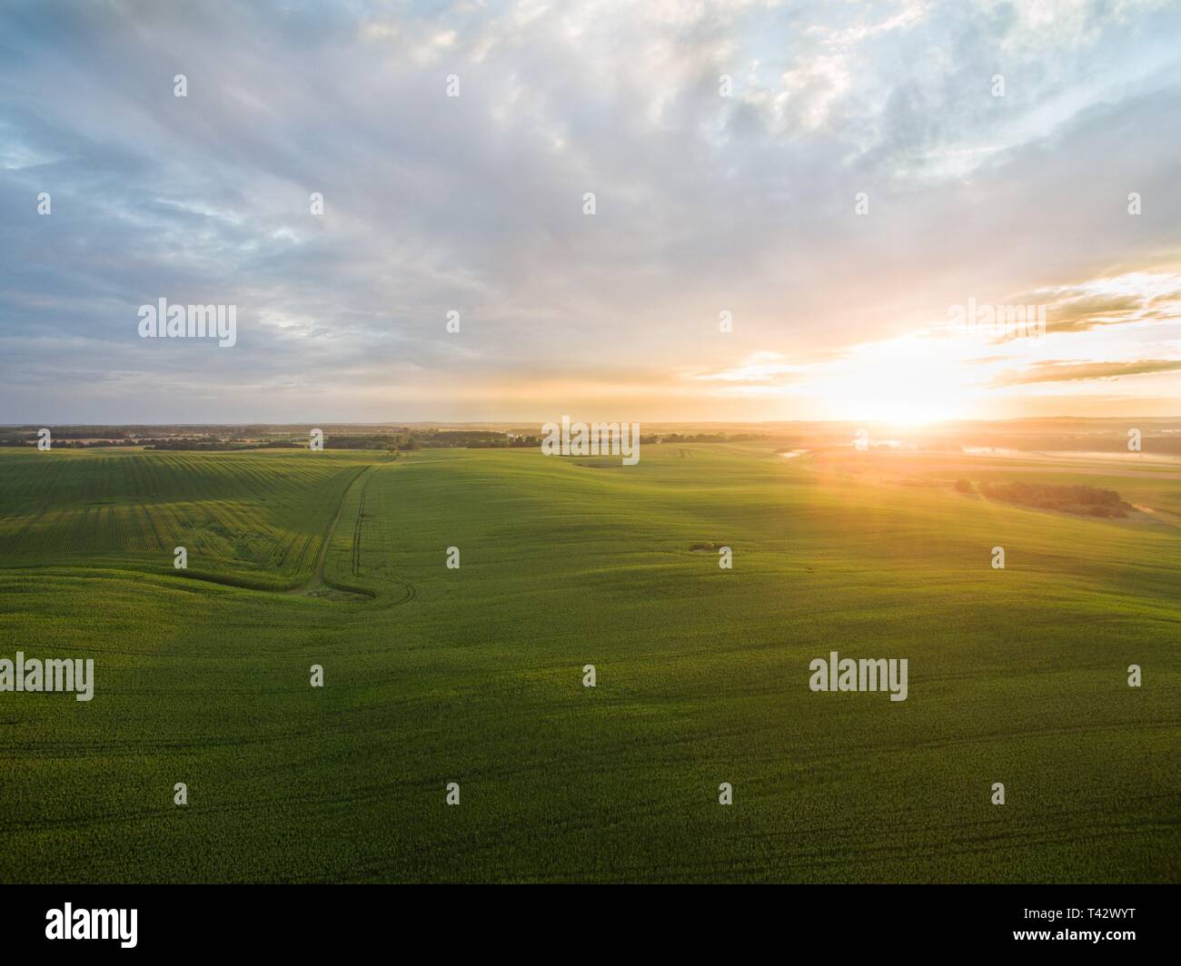 Corn fields agricultural hi-res stock photography and images - Alamy