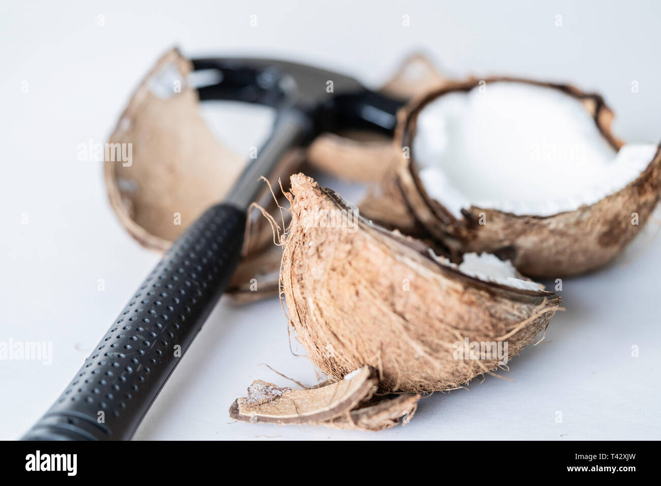 Coconut shell smashed open and into pieces with a hammer Stock Photo ...