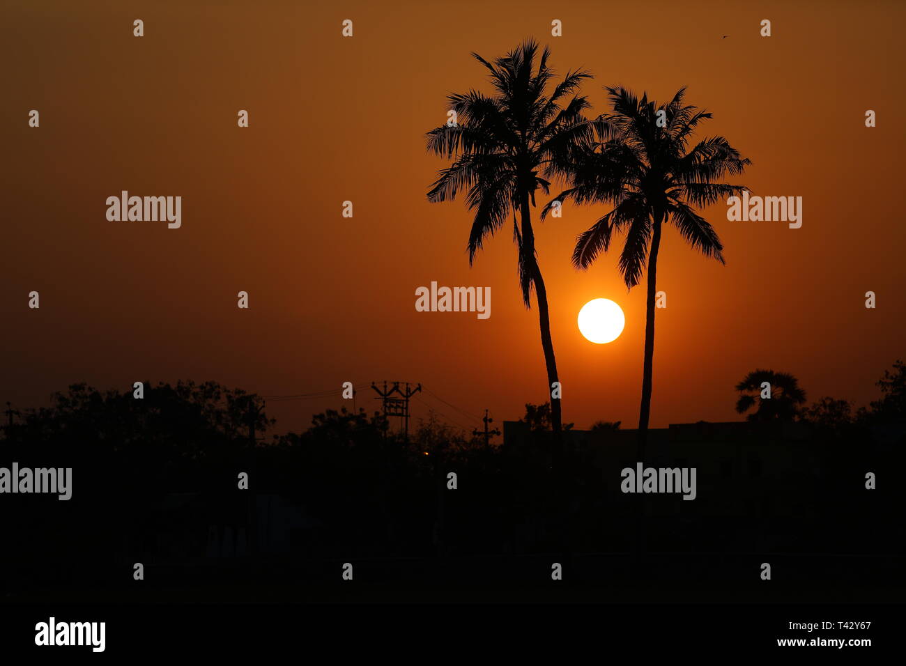 Sunset in India Stock Photo - Alamy