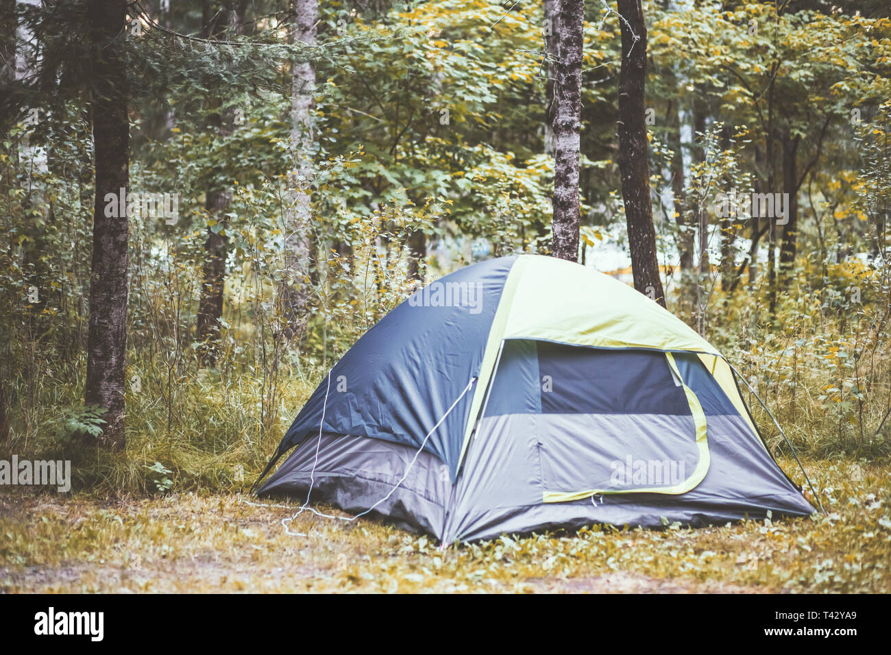 A tent in the forest Stock Photo - Alamy