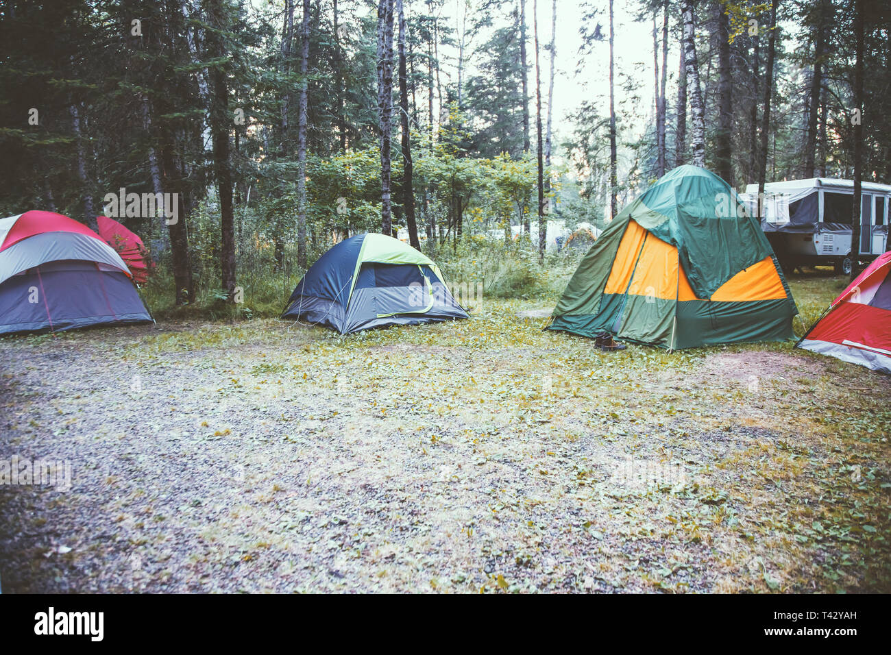 Campers in the forest hi-res stock photography and images - Alamy
