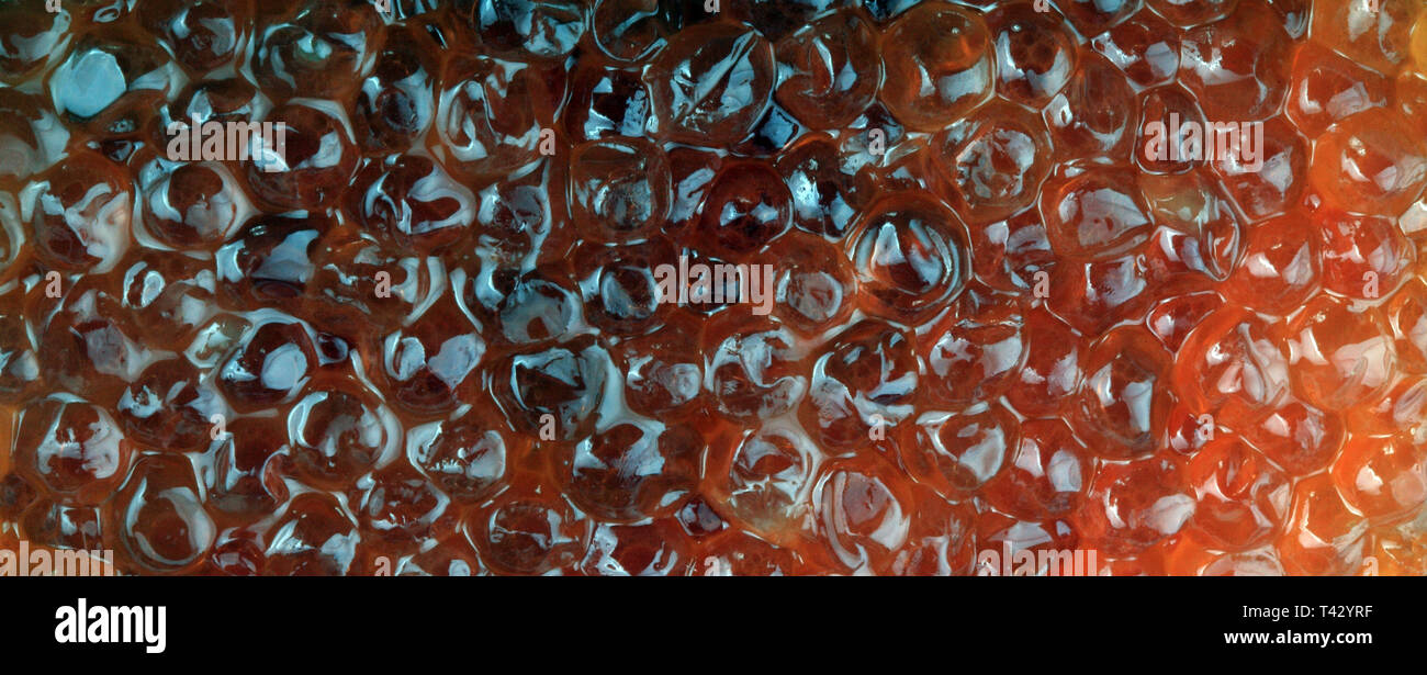 red caviar at day Stock Photo - Alamy
