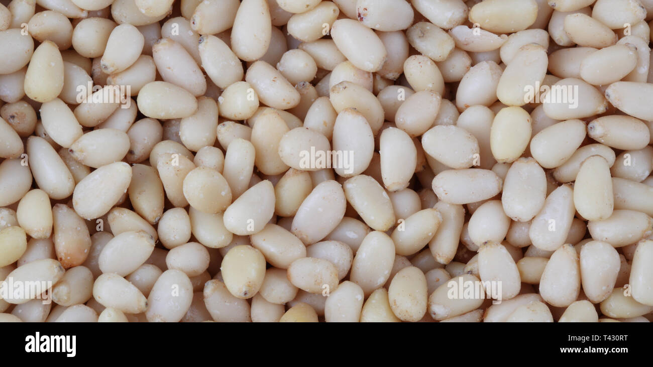 many cedar nut at day Stock Photo - Alamy