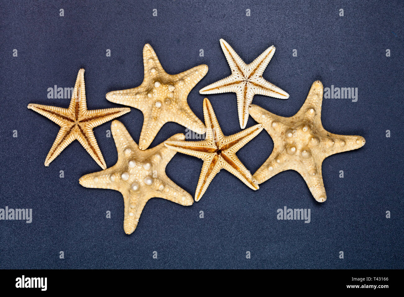 Deep star six hi-res stock photography and images - Alamy