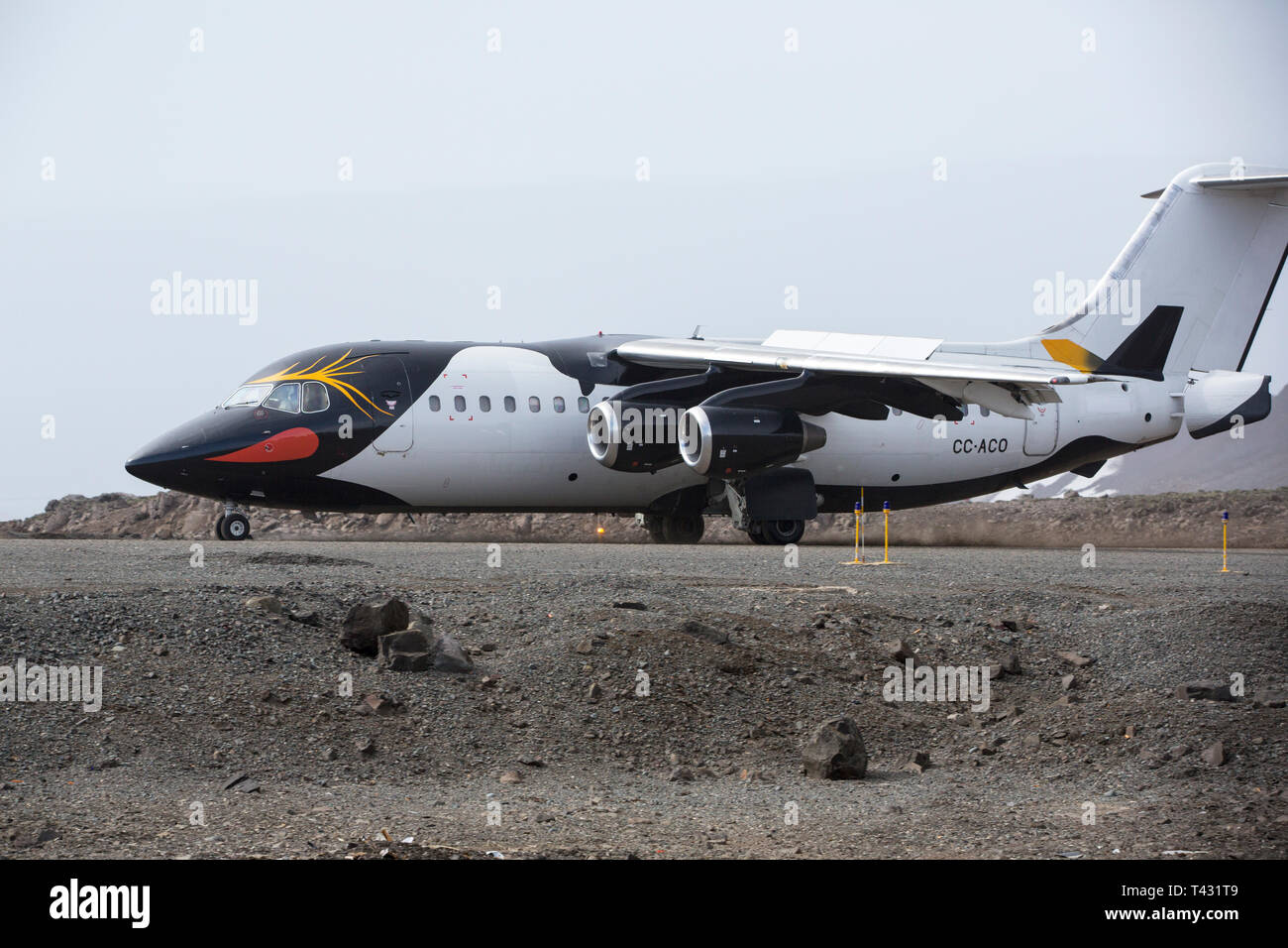 A plane painted like a Macaroni Penguin coming into land at Teniente ...