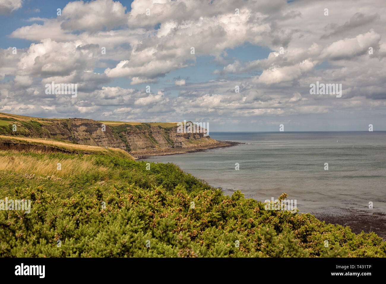 Yorkshire coastal path hi-res stock photography and images - Alamy