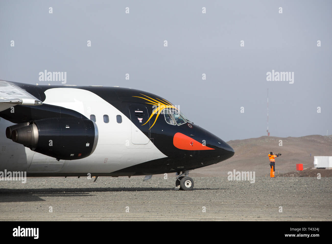 A plane painted like a Macaroni Penguin coming into land at Teniente ...