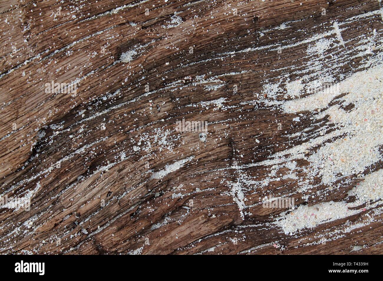 Beautiful weathered and aged wood surfaces with a stunning patina in ...