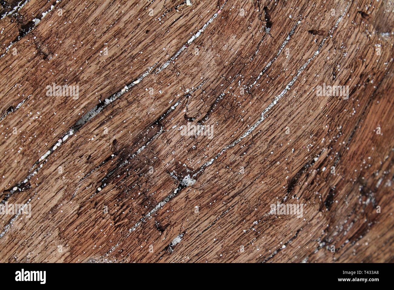 Beautiful weathered and aged wood surfaces with a stunning patina in ...