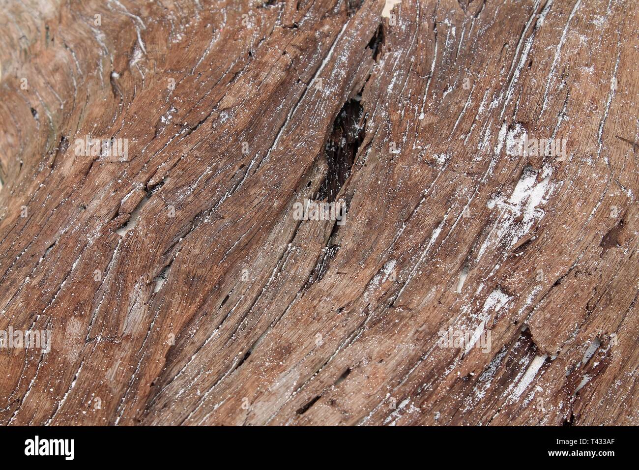 Beautiful weathered and aged wood surfaces with a stunning patina in ...