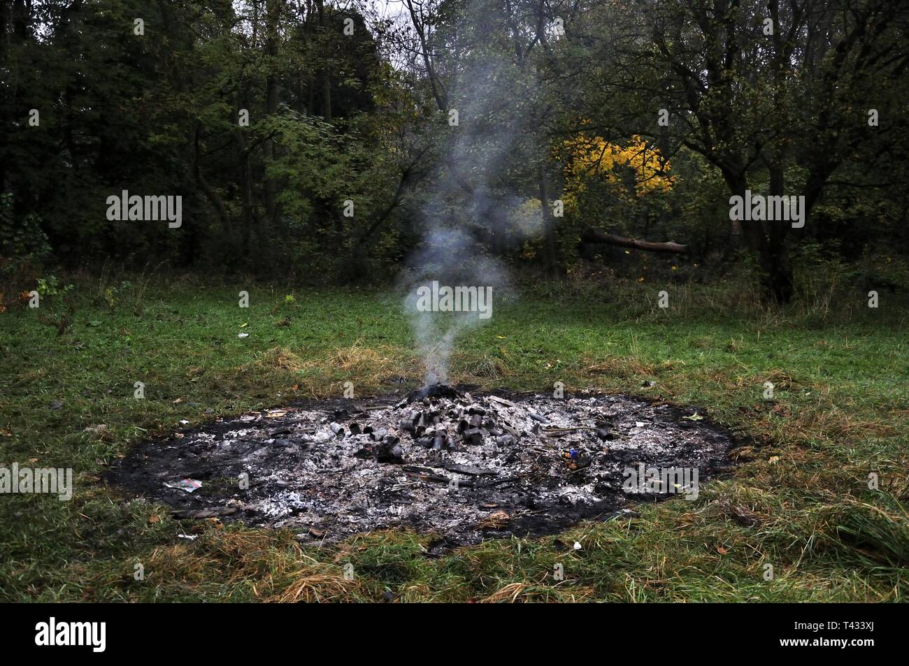 Out of the ashes hi-res stock photography and images - Alamy