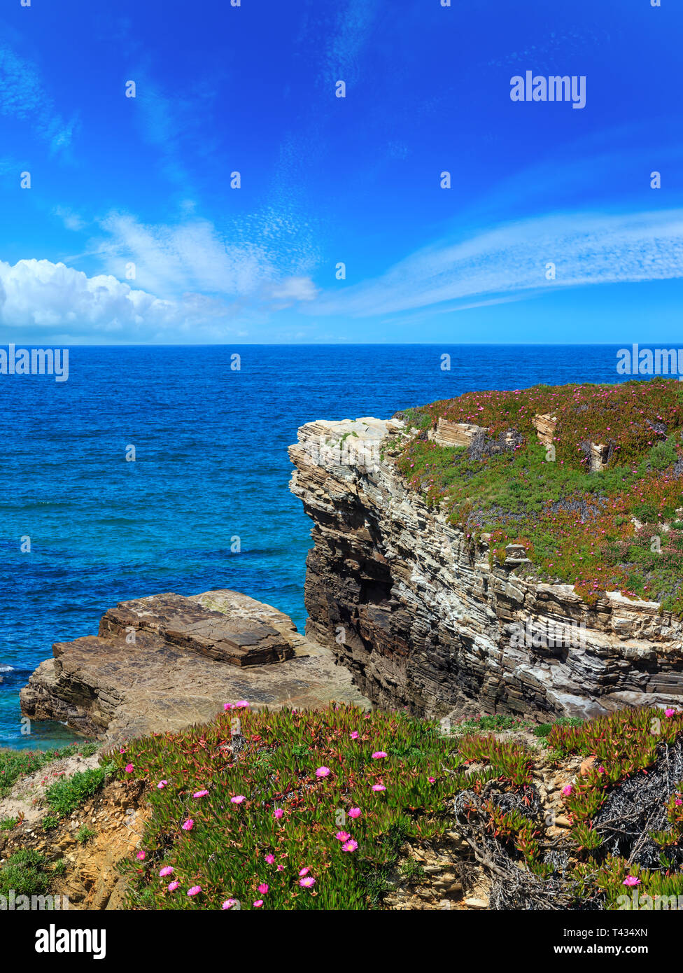 Summer blossoming Atlantic coast landscape with pink flowers (Islas ...