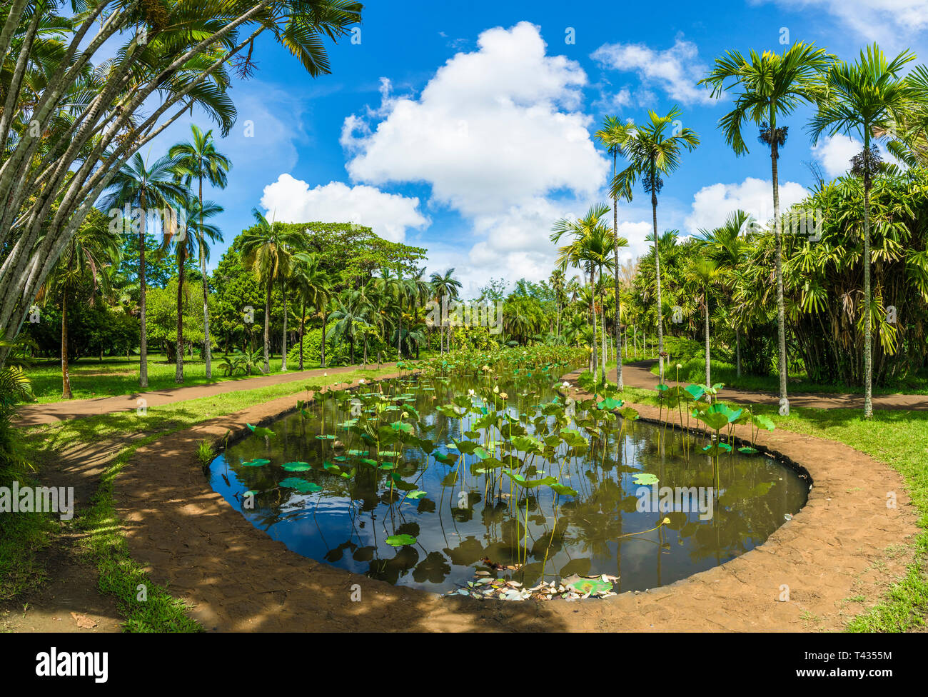 National Botanical Garden of Mauritius island, Africa Stock Photo - Alamy