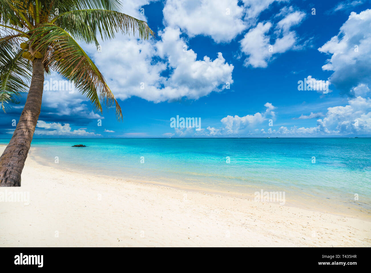 Amazing beaches hi-res stock photography and images - Alamy