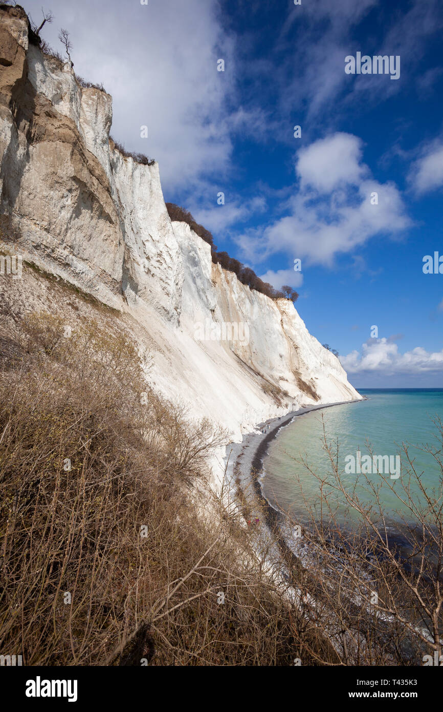 The white cliffs and clear seas at Mons Klint, the highest cliffs in ...