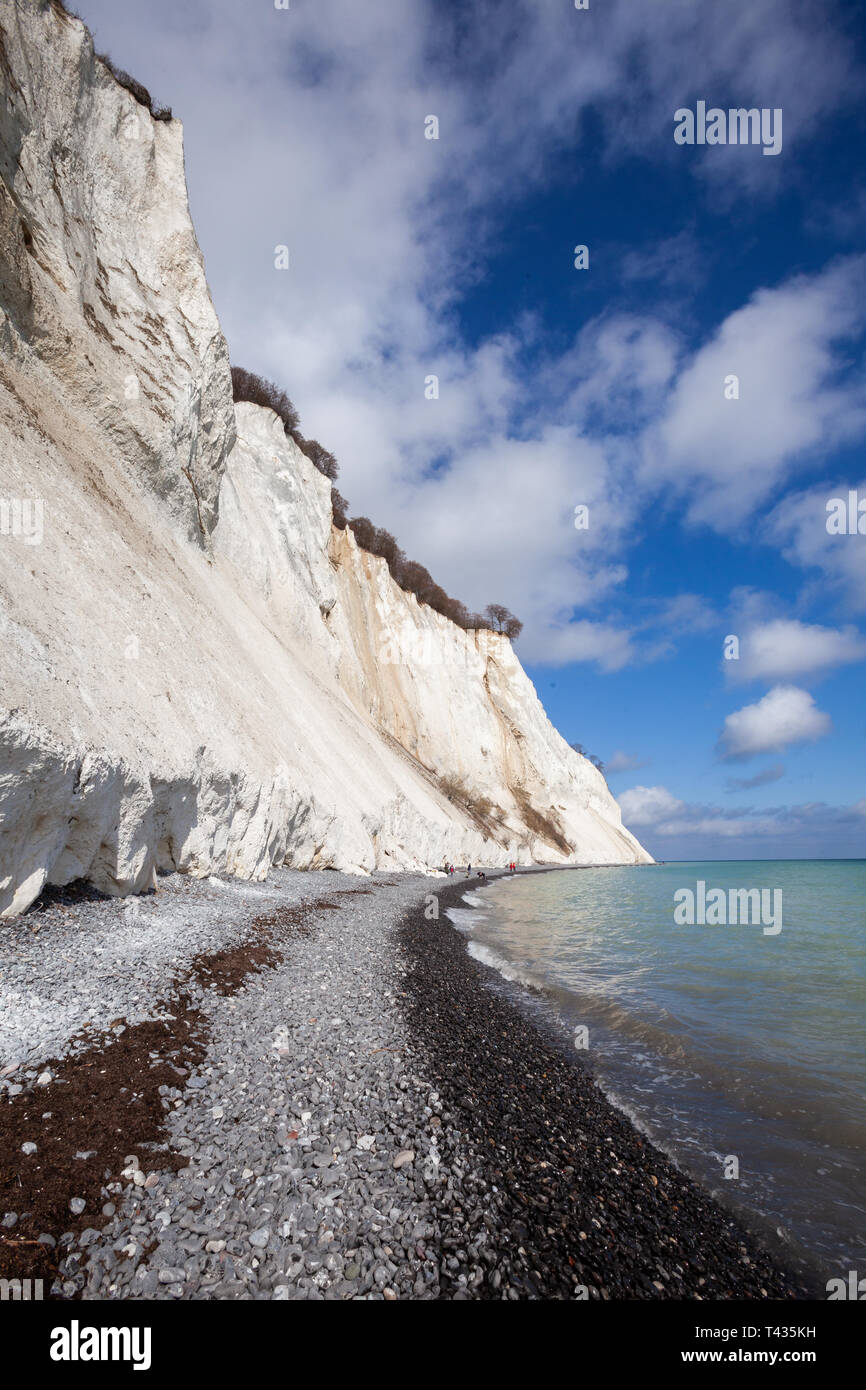 The white cliffs and clear seas at Mons Klint, the highest cliffs in ...