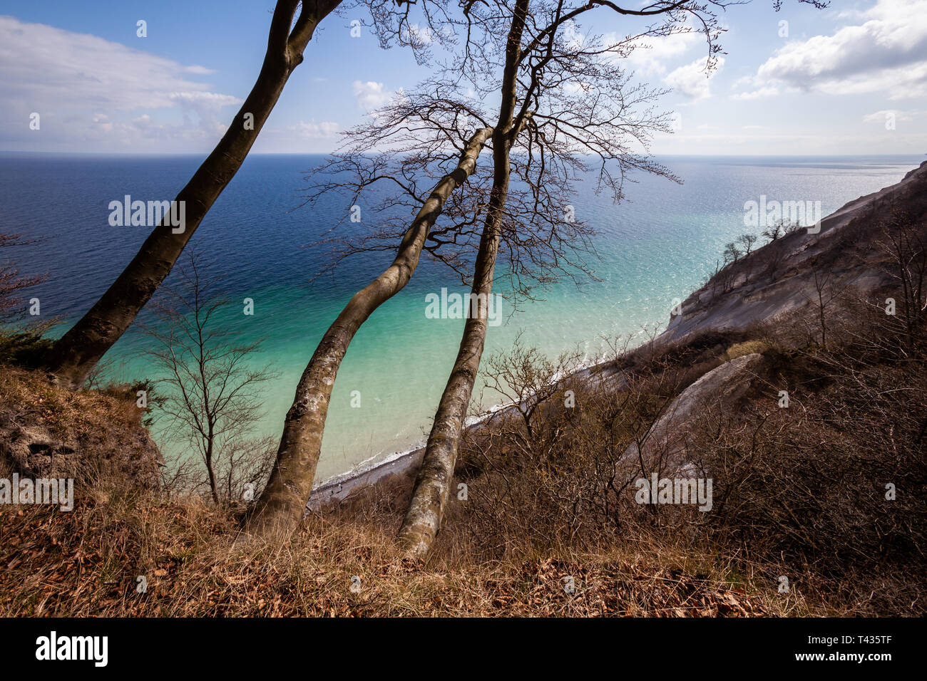 The white cliffs and clear seas at Mons Klint, the highest cliffs in ...