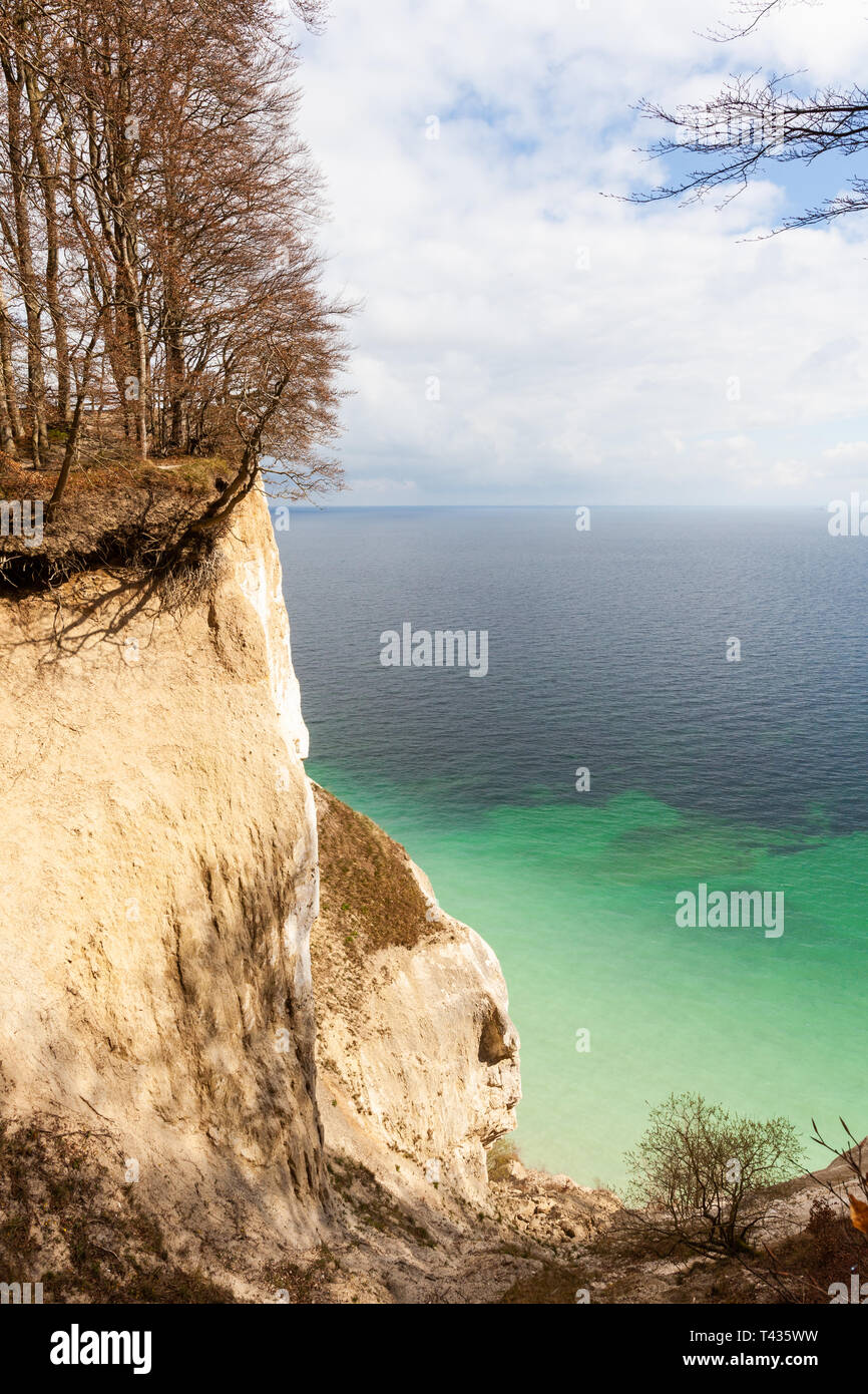 The white cliffs and clear seas at Mons Klint, the highest cliffs in ...