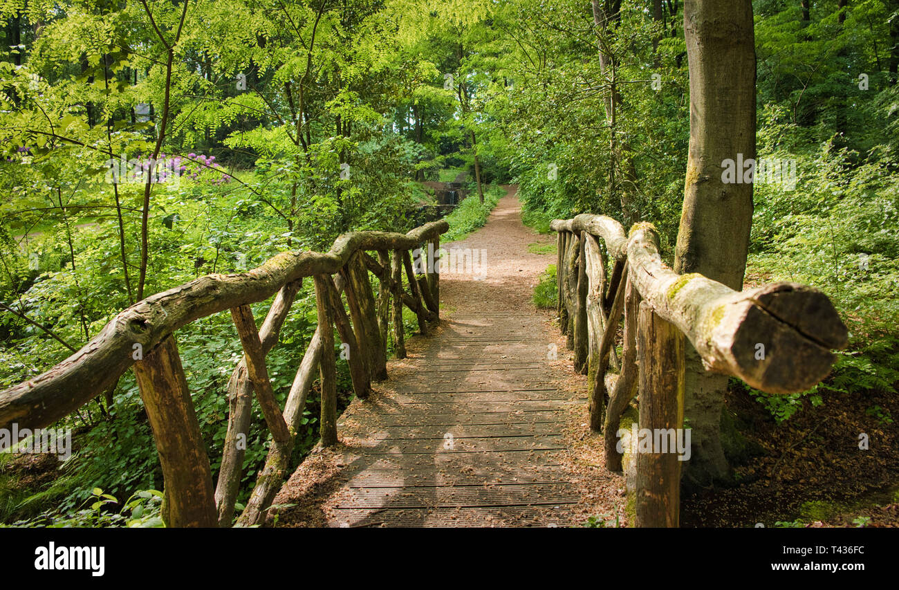 small Bridge in bright green forest. Natural composition in dutch woods ...