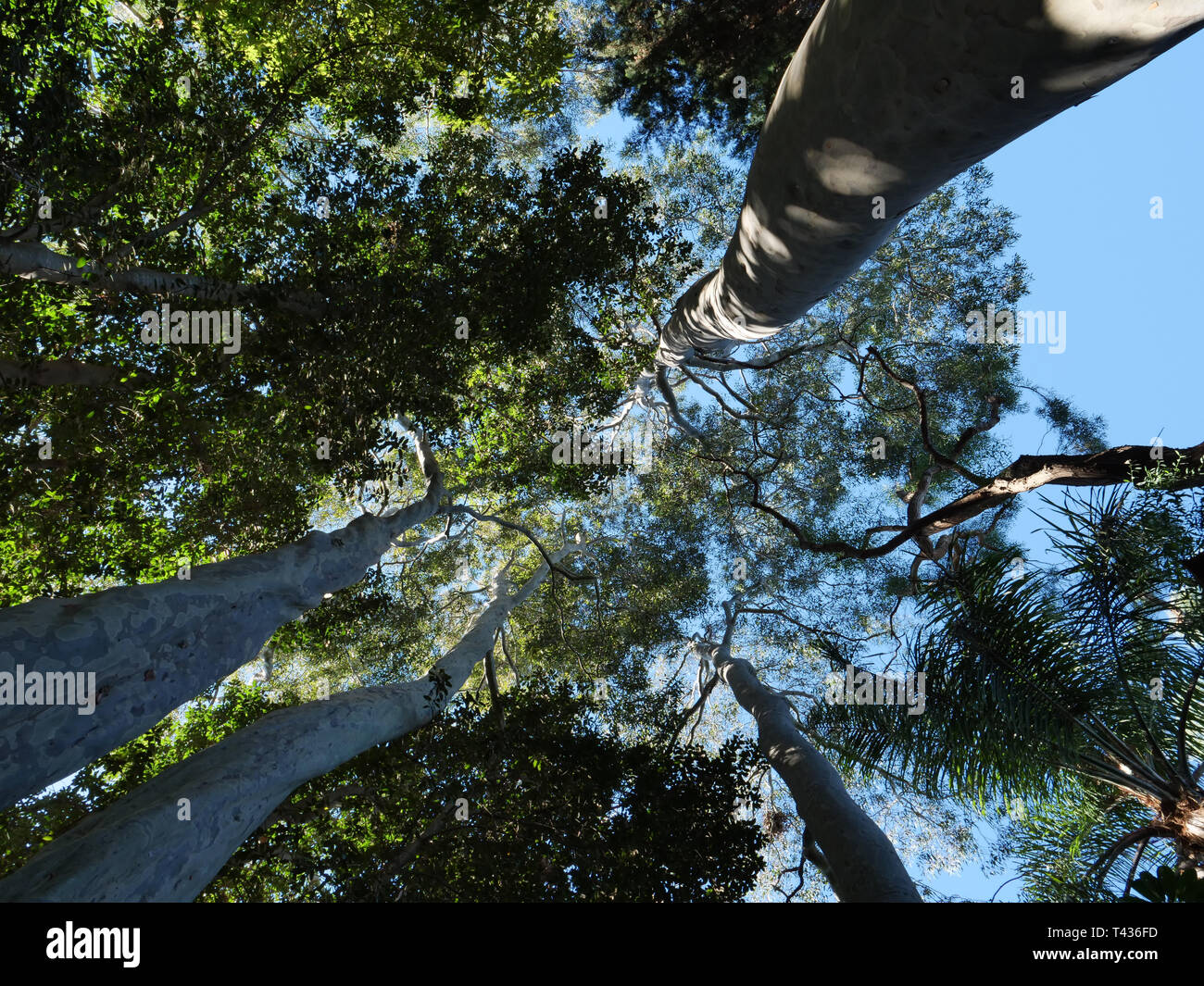 Wanneroo Botanical Garden has a mixture of native and imported garden ...