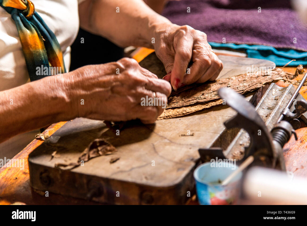Woman cuban cigars rolling hi-res stock photography and images - Alamy